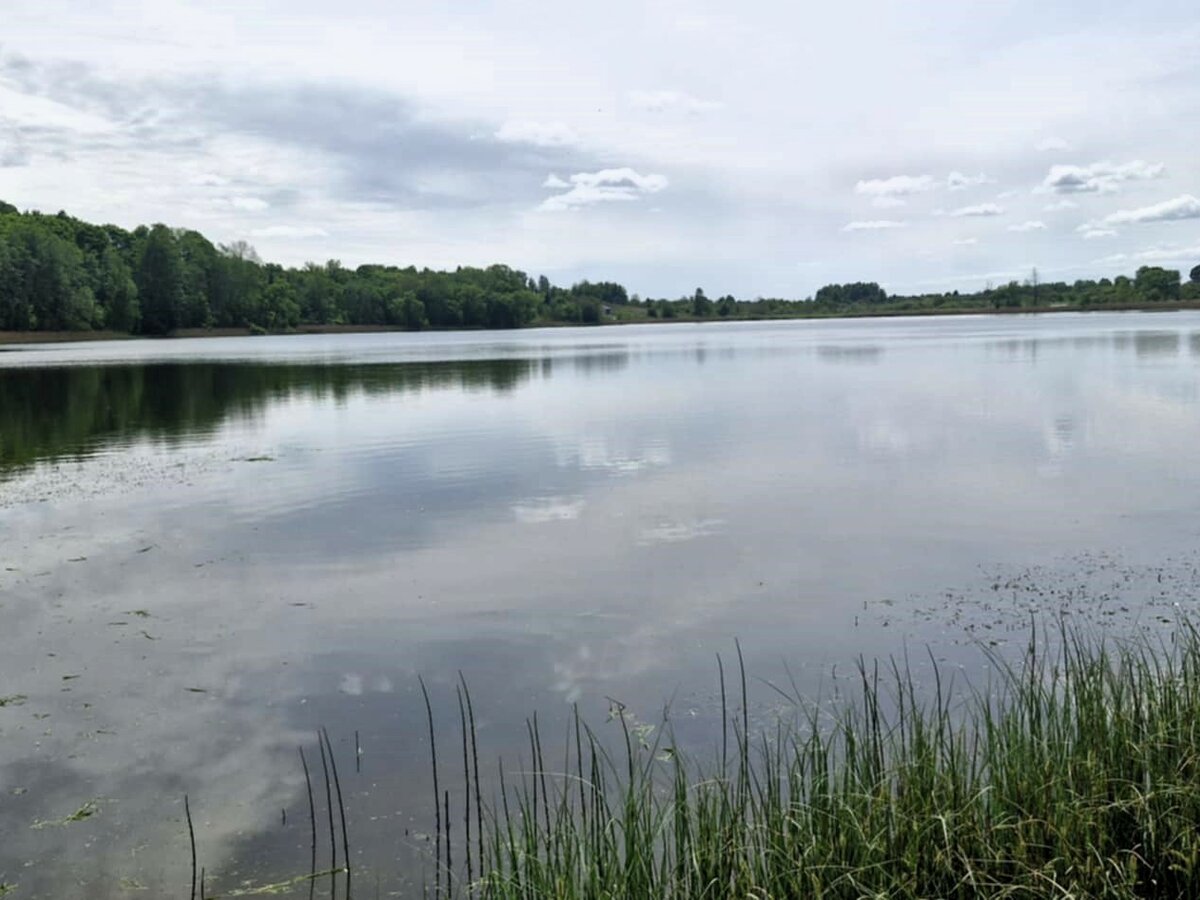 Vandens tarša padidėjusi dvejose Vilniaus rajono maudyklose. Maudytis ...