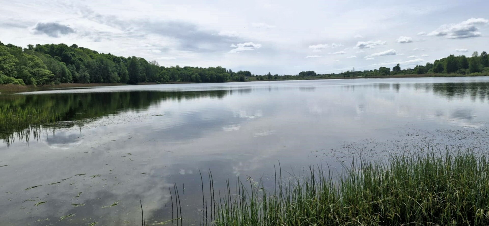 Vandens tarša padidėjusi dvejose Vilniaus rajono maudyklose. Maudytis ...